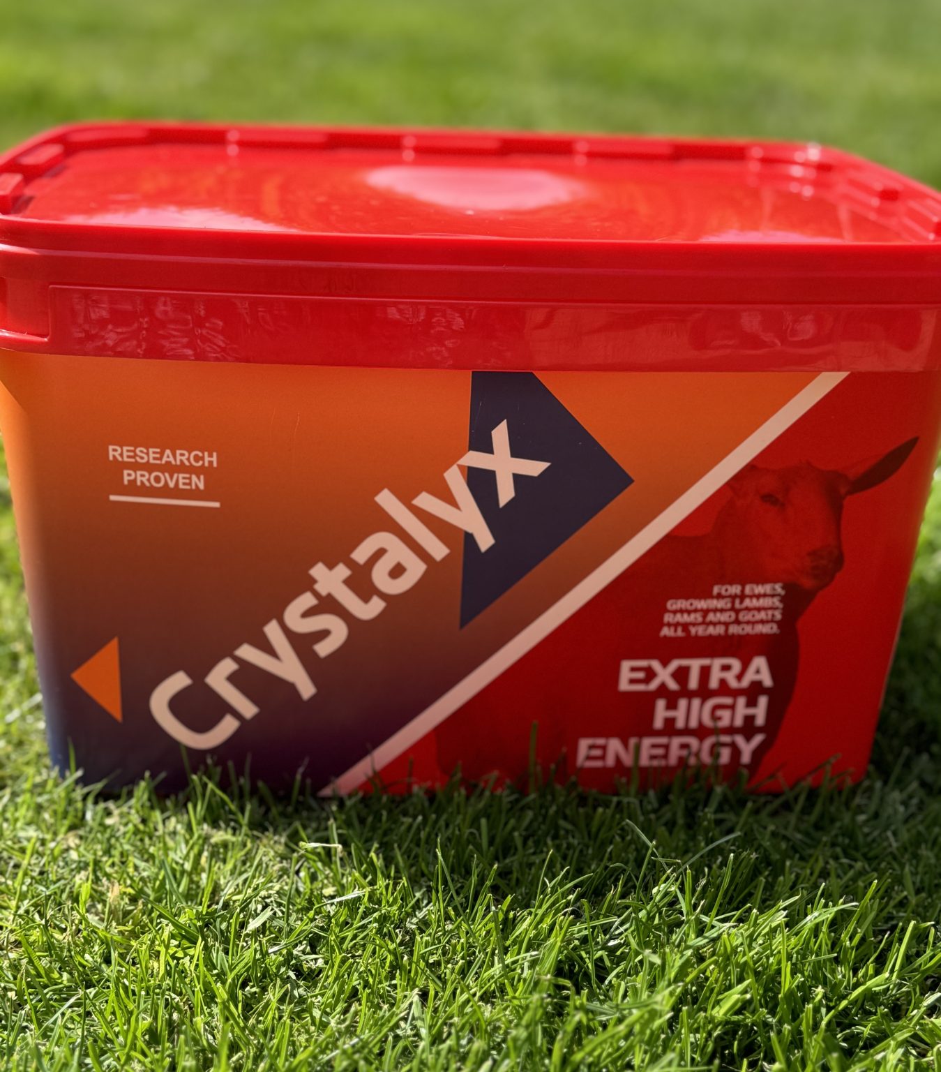 Crystalyx Extra High Energy - Oakwood Feeds Ltd
