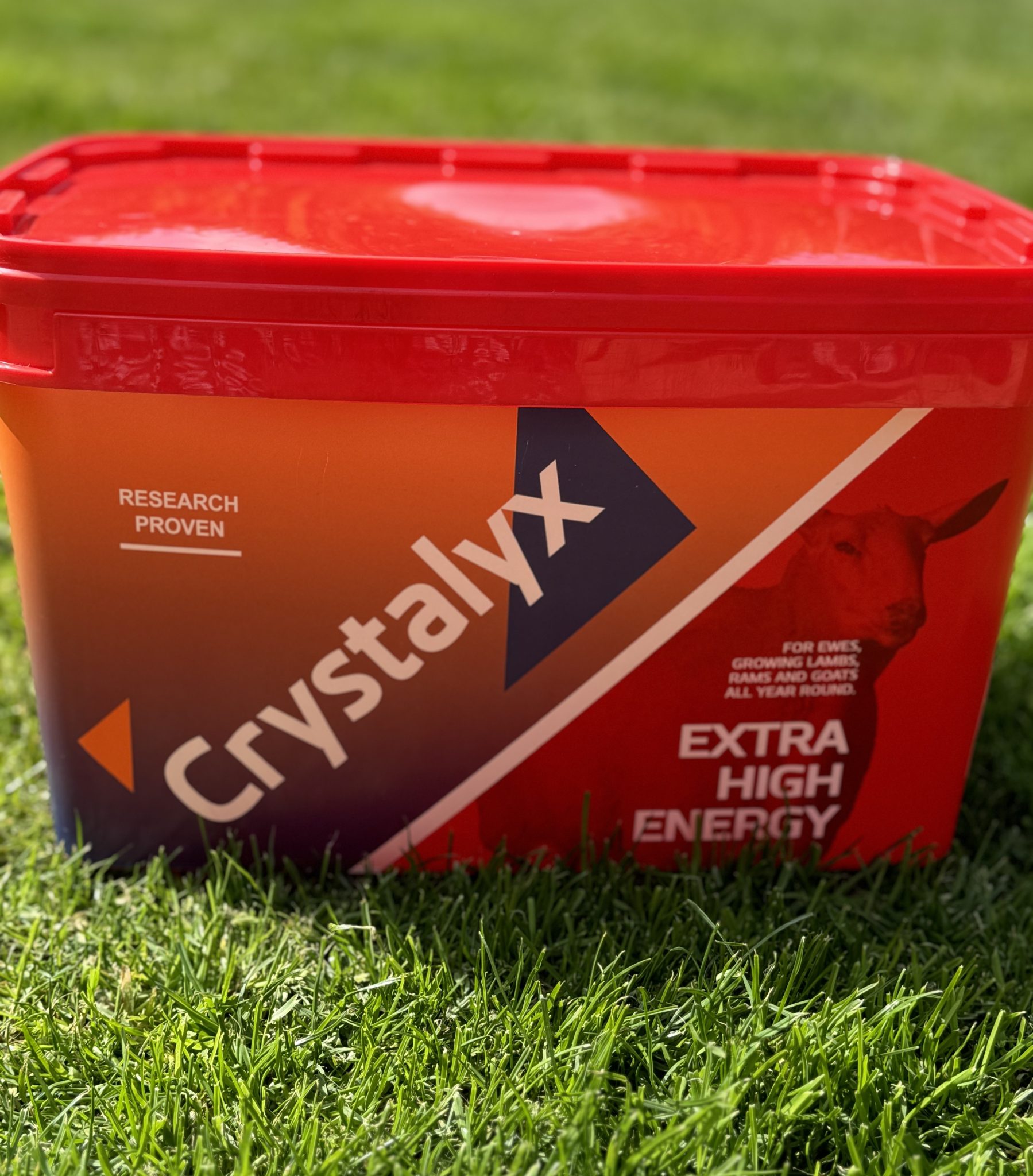 Crystalyx Extra High Energy - Oakwood Feeds Ltd